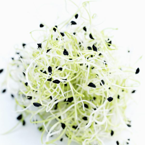 Preischeuten – Roelandt