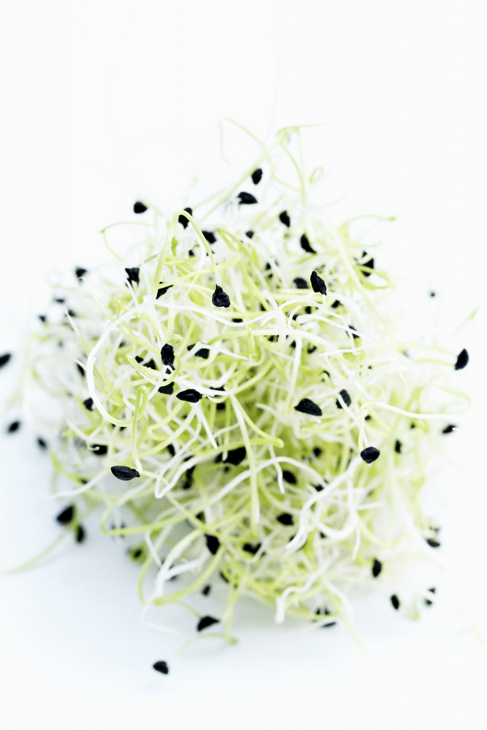 Preischeuten – Roelandt