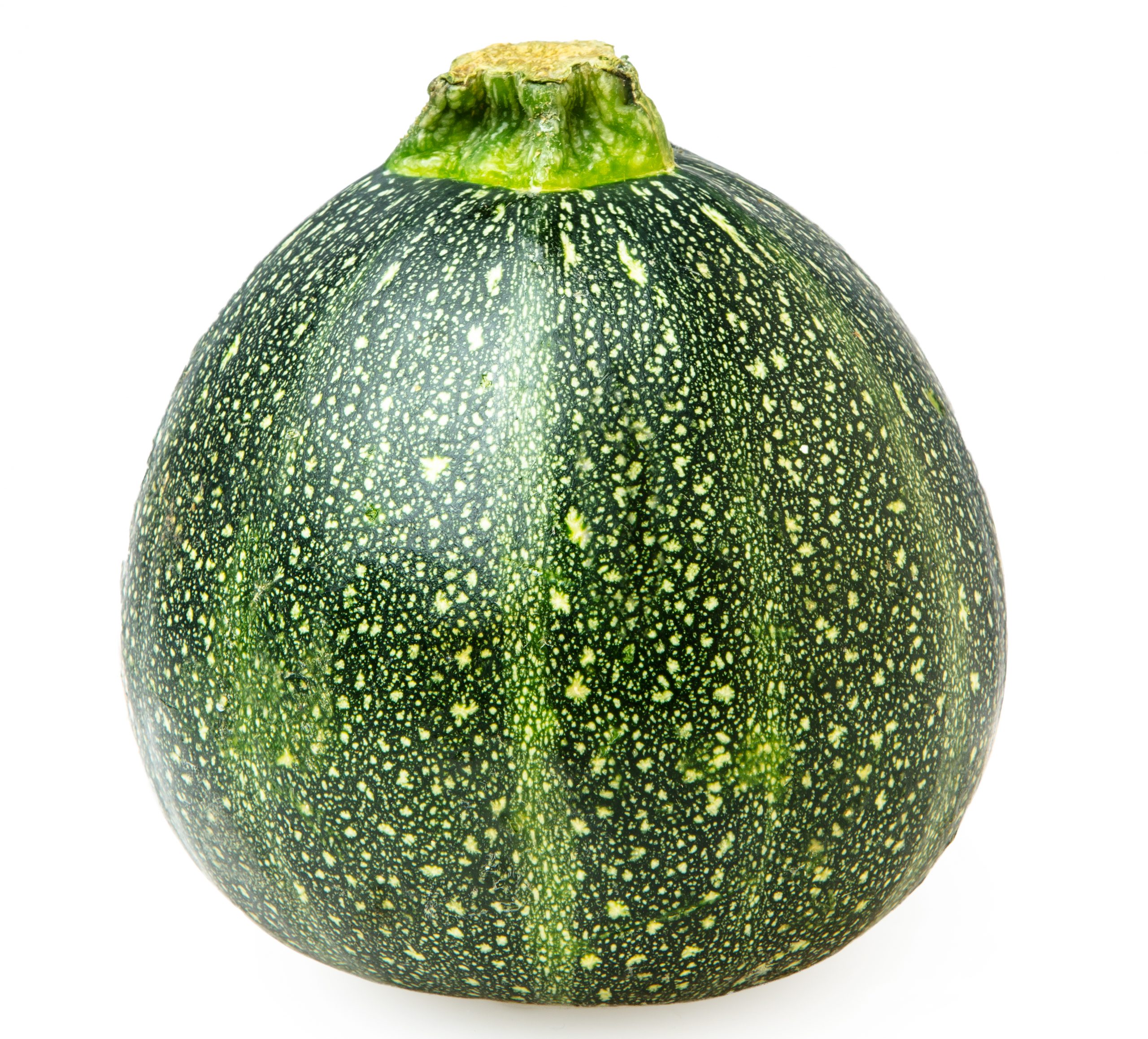 Ronde Courgette – Roelandt