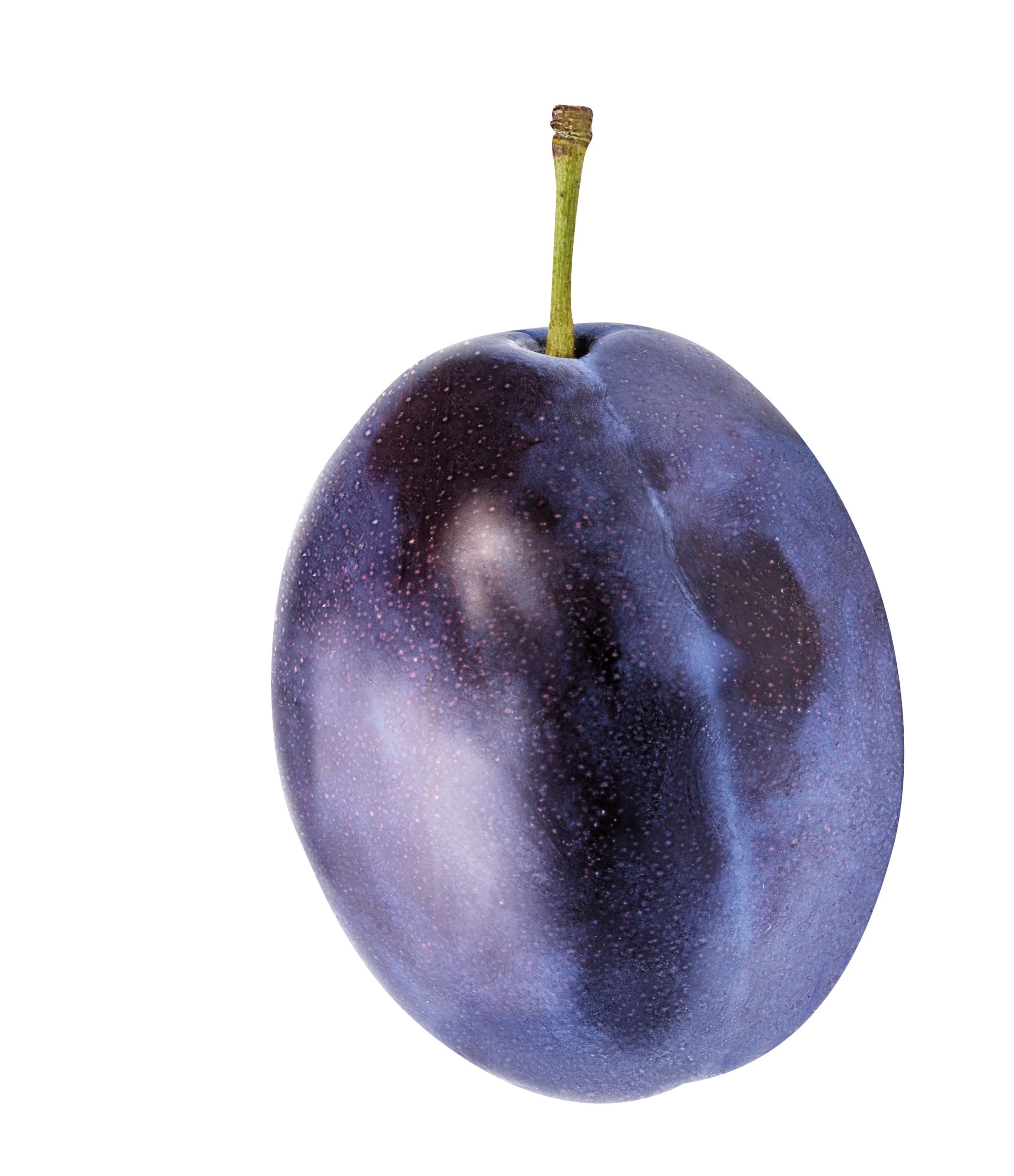 President Pruim – Roelandt